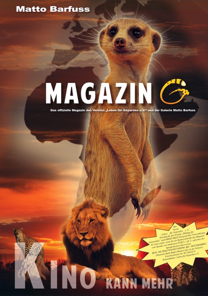 Homepage Kinofilm PAMBARA - PAMBARA - Who is the Boss