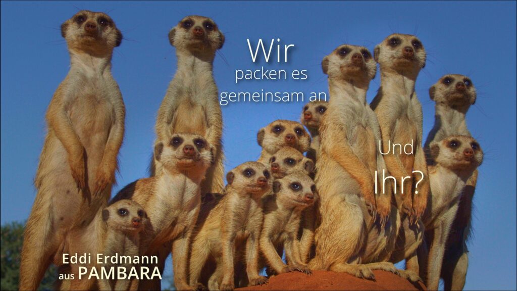 Eddi Erdmann 4 - PAMBARA - Who is the Boss